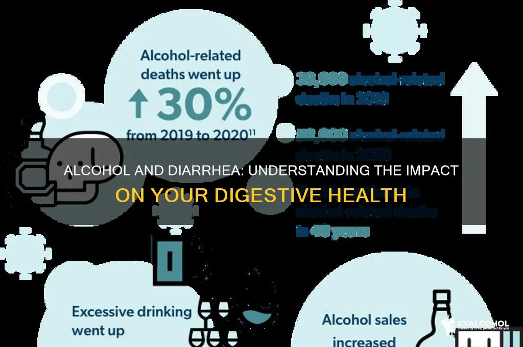 Alcohol And Diarrhea: Understanding The Impact On Your Digestive Health ...