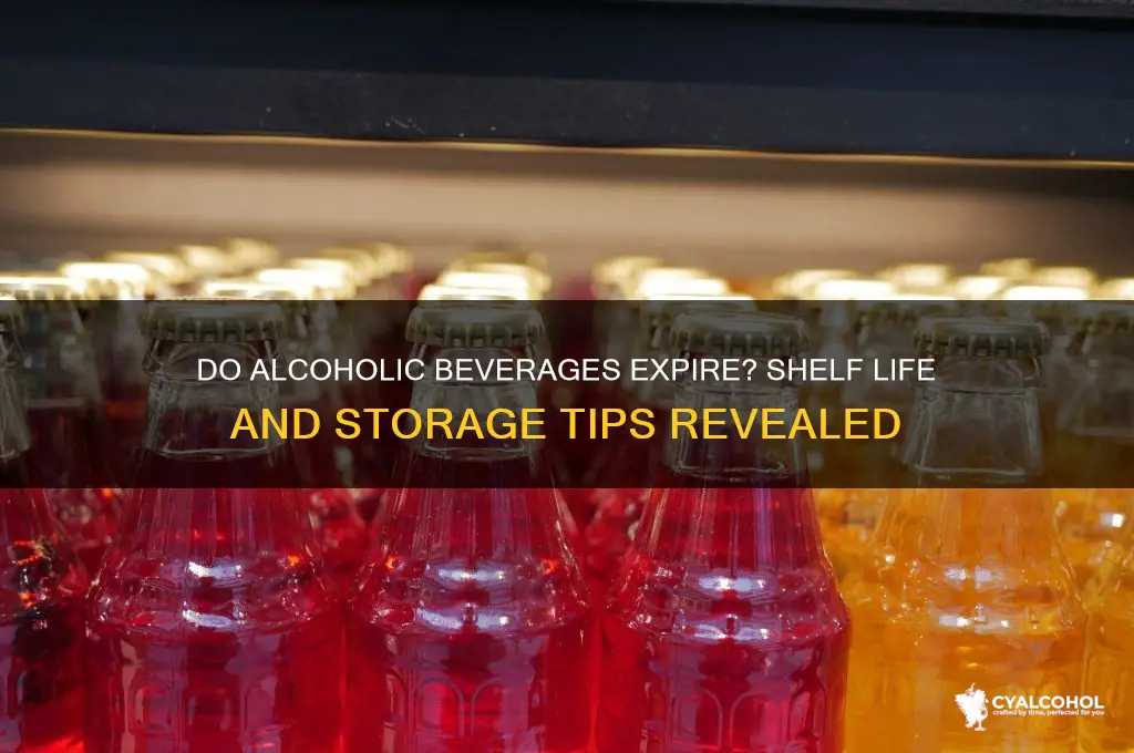 Do Alcoholic Beverages Expire? Shelf Life And Storage Tips Revealed ...