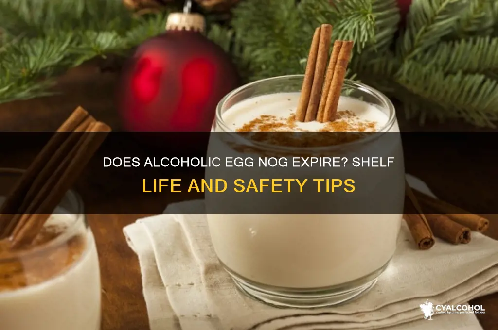 Does Alcoholic Egg Nog Expire? Shelf Life And Safety Tips | CyAlcohol