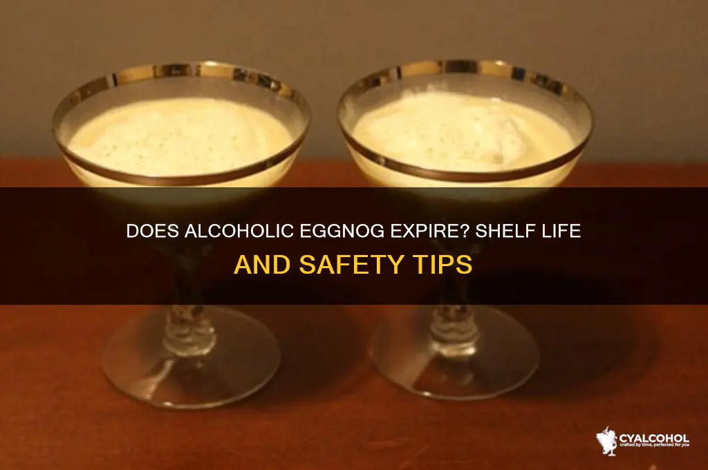 Does Alcoholic Eggnog Expire? Shelf Life And Safety Tips | CyAlcohol