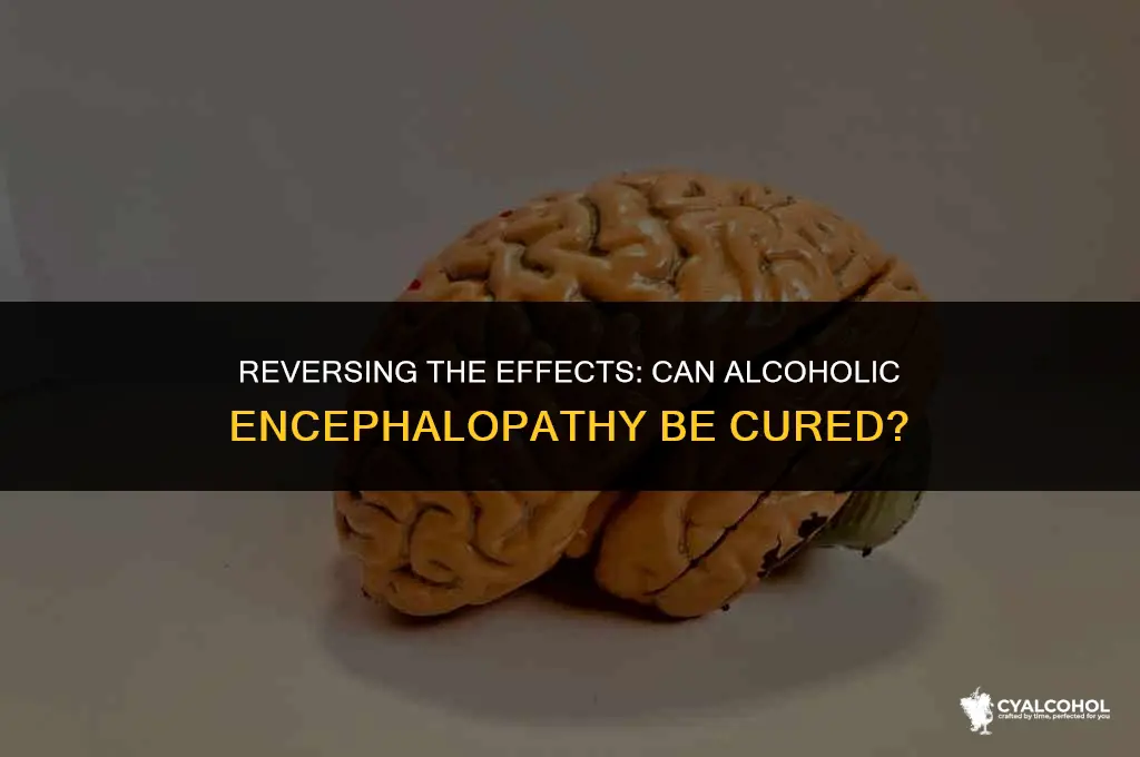 Reversing The Effects: Can Alcoholic Encephalopathy Be Cured? | CyAlcohol