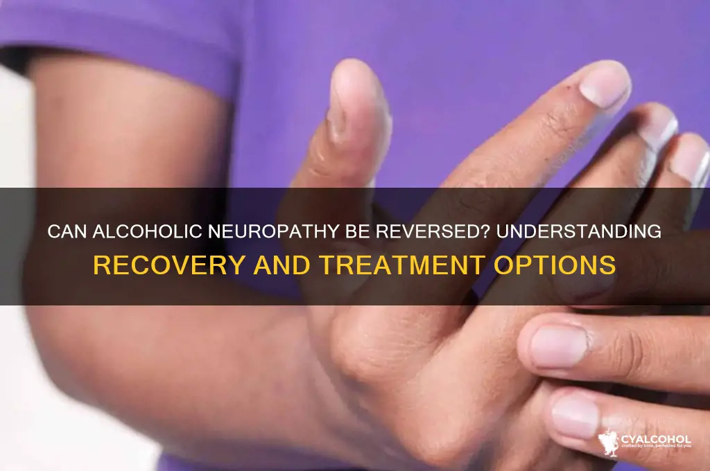 Can Alcoholic Neuropathy Be Reversed? Understanding Recovery And ...