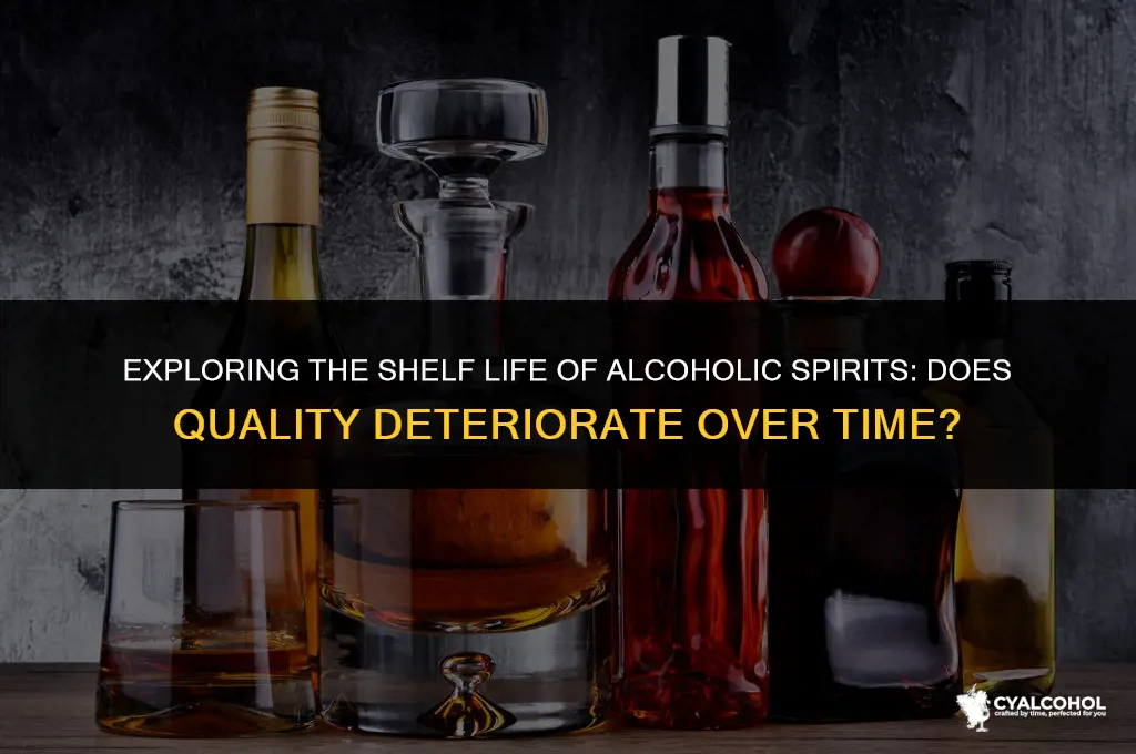 Exploring The Shelf Life Of Alcoholic Spirits: Does Quality Deteriorate ...