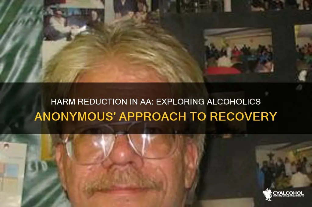 Harm Reduction In Aa: Exploring Alcoholics Anonymous' Approach To ...