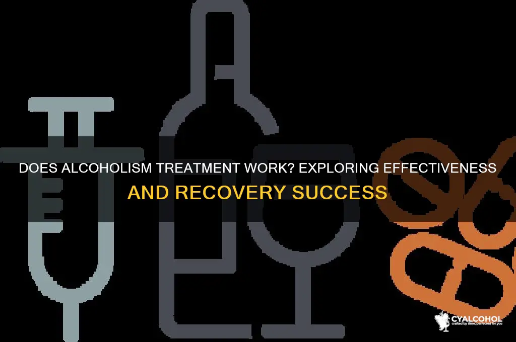 Does Alcoholism Treatment Work? Exploring Effectiveness And Recovery ...