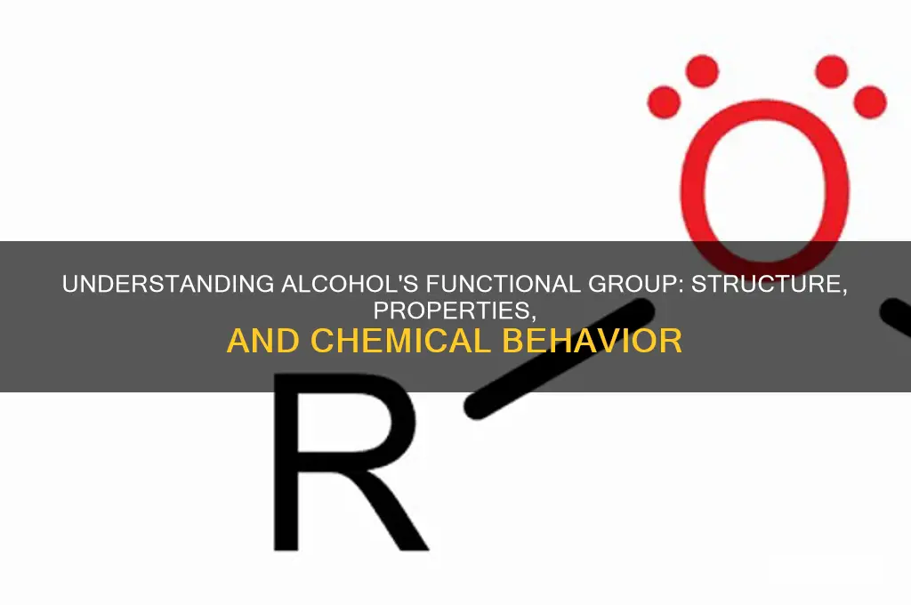 Understanding Alcohol's Functional Group: Structure, Properties, And ...