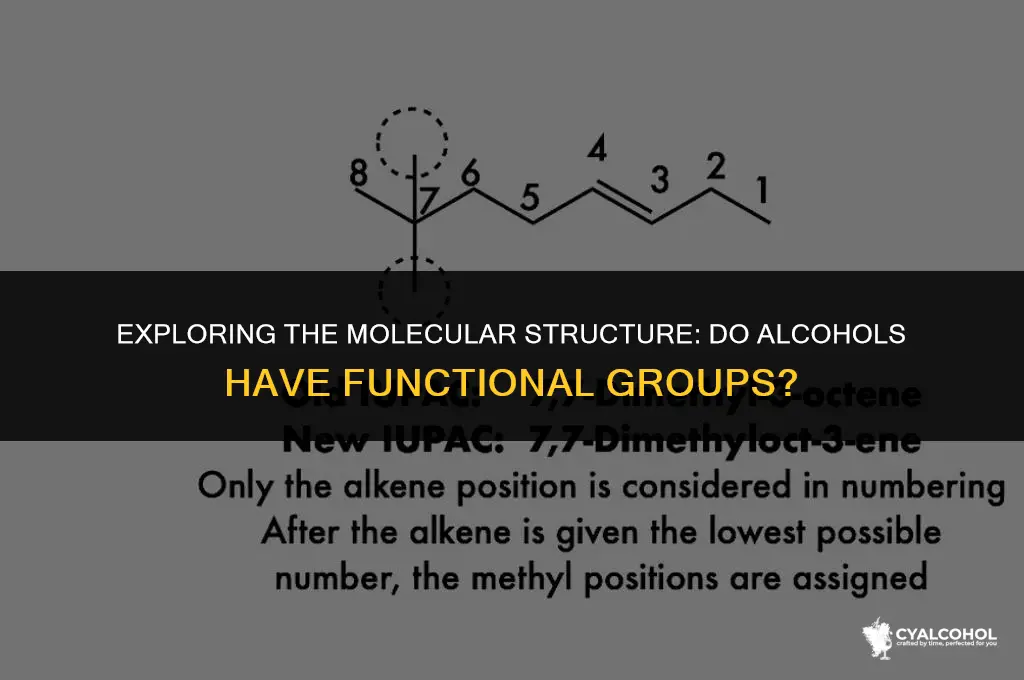 Exploring The Molecular Structure: Do Alcohols Have Functional Groups ...