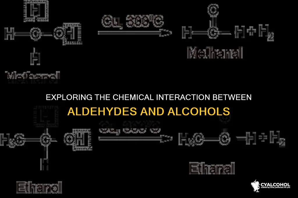 Exploring The Chemical Interaction Between Aldehydes And Alcohols ...
