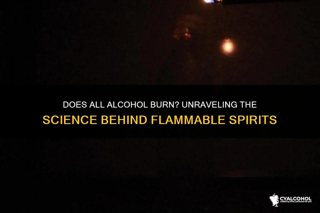 Does All Alcohol Burn? Unraveling The Science Behind Flammable Spirits ...