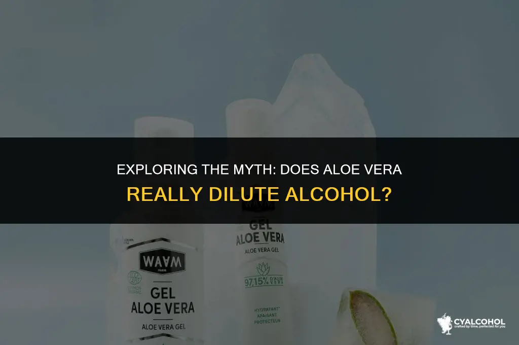 Exploring The Myth: Does Aloe Vera Really Dilute Alcohol? | CyAlcohol