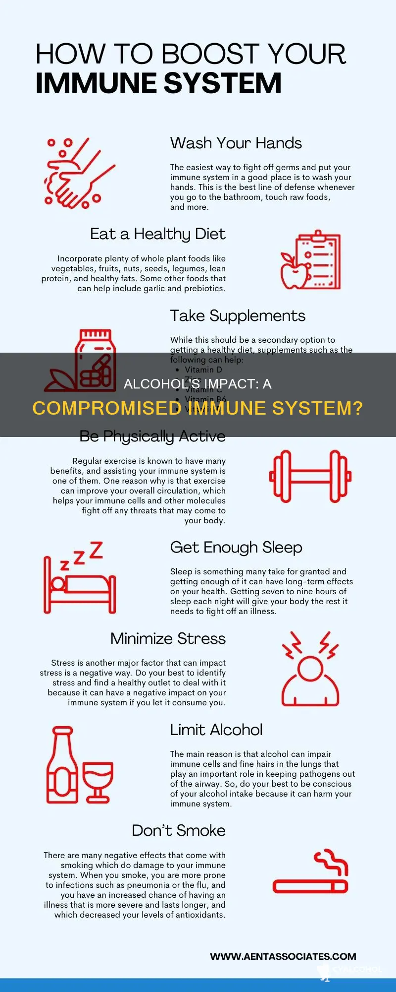 Alcohol's Impact: A Compromised Immune System? | CyAlcohol