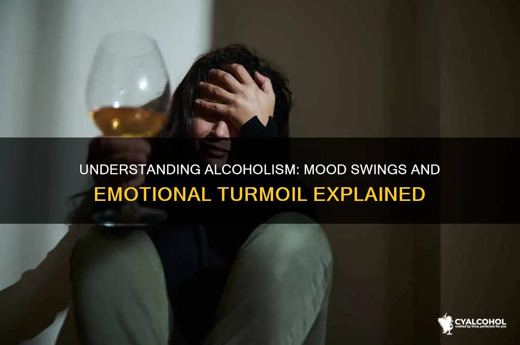 Understanding Alcoholism: Mood Swings And Emotional Turmoil Explained ...