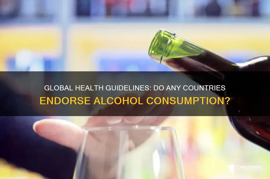 Global Health Guidelines: Do Any Countries Endorse Alcohol Consumption ...