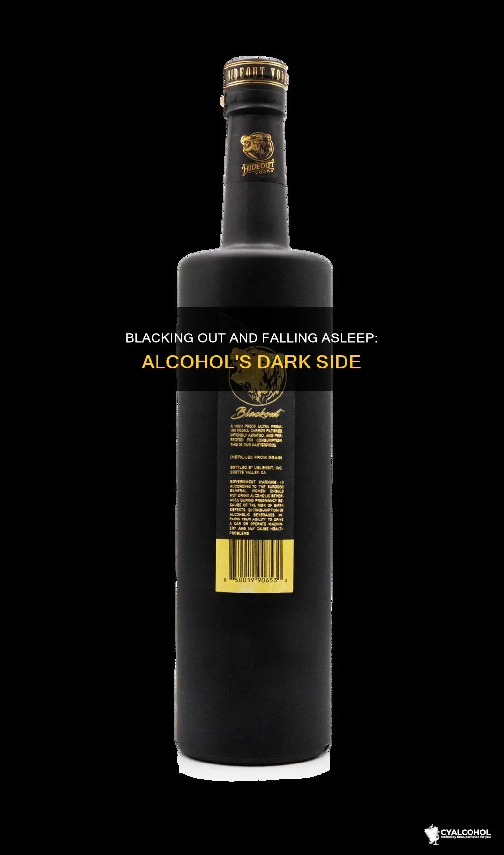 Blacking Out And Falling Asleep: Alcohol's Dark Side | CyAlcohol