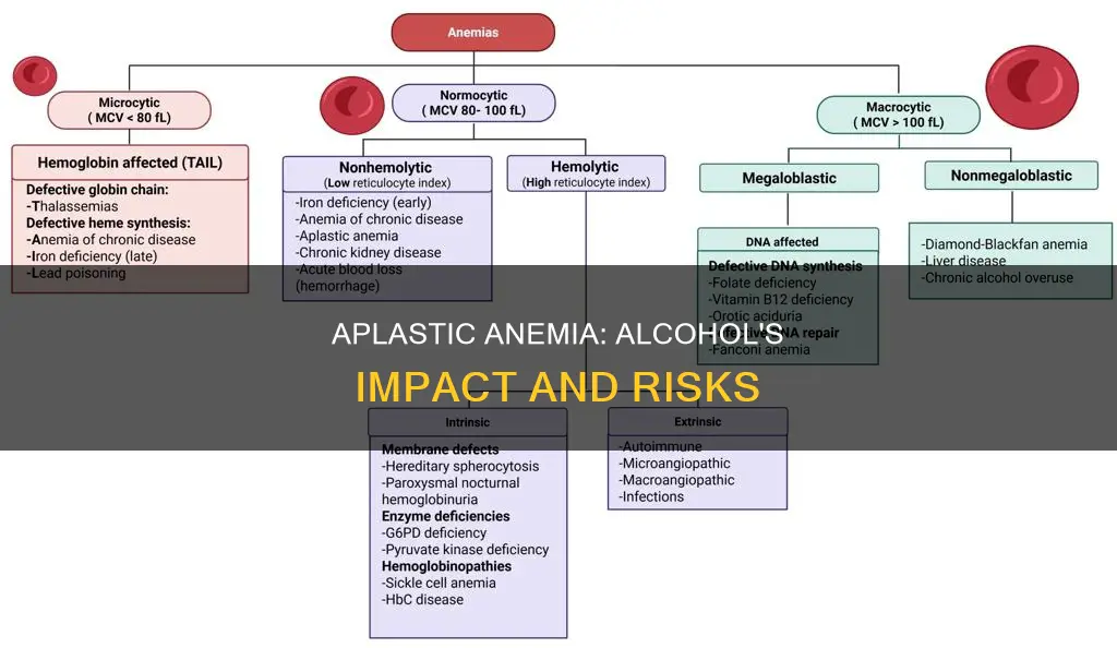 Aplastic Anemia: Alcohol's Impact And Risks | CyAlcohol