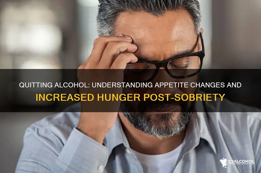 Quitting Alcohol: Understanding Appetite Changes And Increased Hunger ...