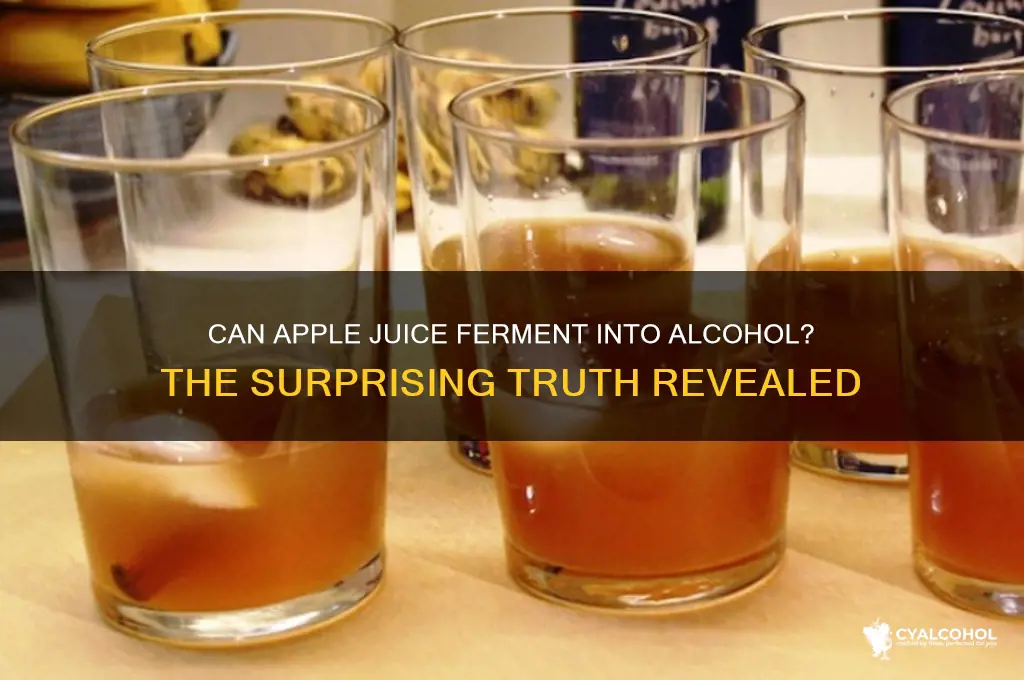 Can Apple Juice Ferment Into Alcohol? The Surprising Truth Revealed ...