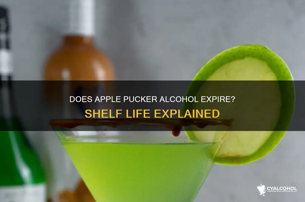 Does Apple Pucker Alcohol Expire? Shelf Life Explained | CyAlcohol