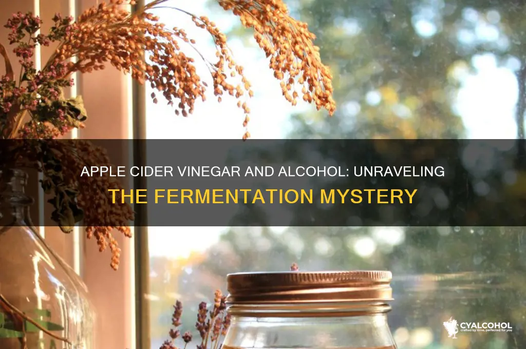 Apple Cider Vinegar And Alcohol: Unraveling The Fermentation Mystery ...