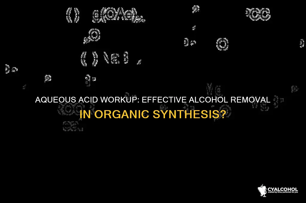 Aqueous Acid Workup: Effective Alcohol Removal In Organic Synthesis ...