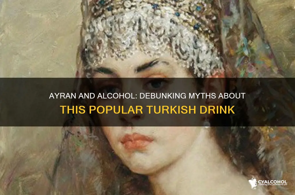 Ayran And Alcohol: Debunking Myths About This Popular Turkish Drink ...