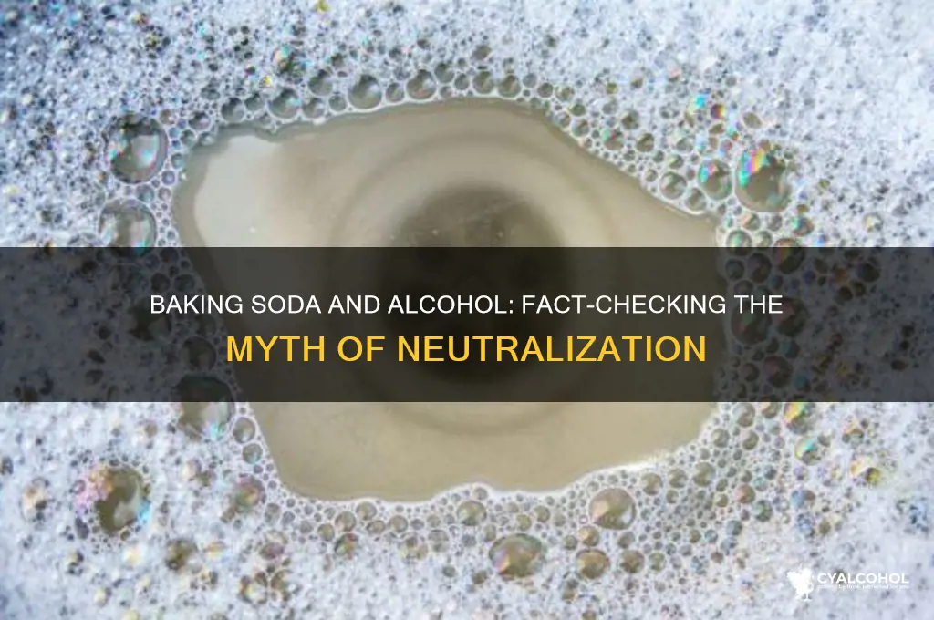 Baking Soda And Alcohol: Fact-Checking The Myth Of Neutralization ...