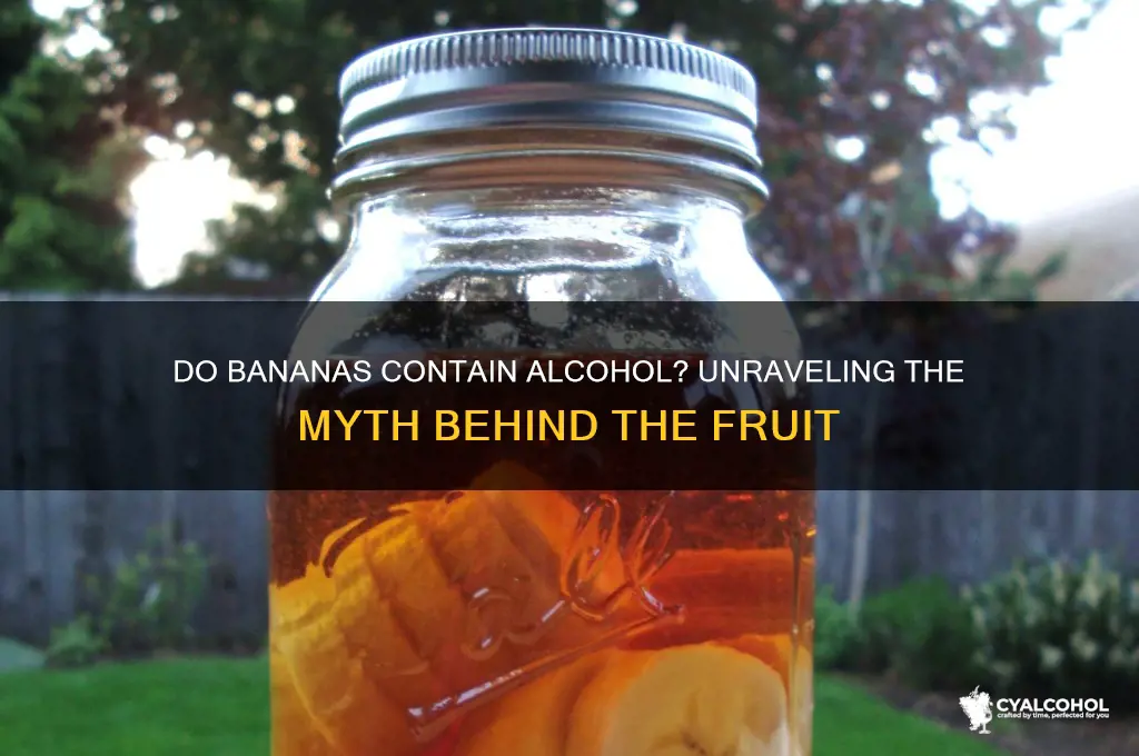 Do Bananas Contain Alcohol? Unraveling The Myth Behind The Fruit ...