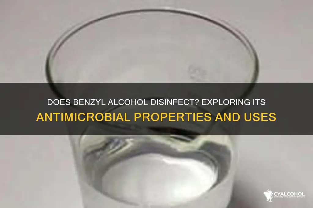 Does Benzyl Alcohol Disinfect? Exploring Its Antimicrobial Properties ...