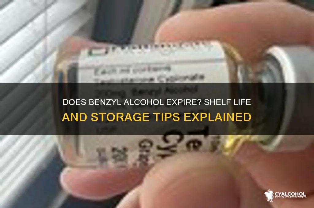 Does Benzyl Alcohol Expire? Shelf Life And Storage Tips Explained ...