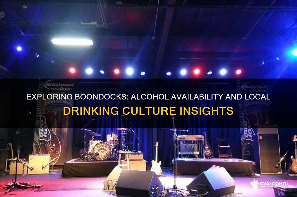 Exploring Boondocks: Alcohol Availability And Local Drinking Culture ...