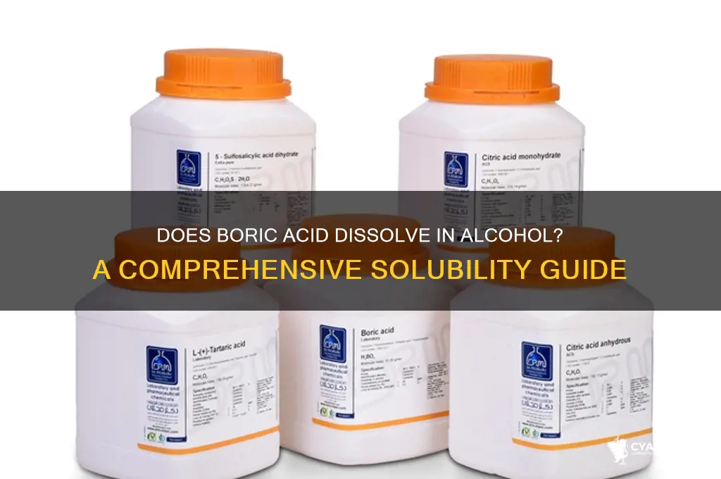 Does Boric Acid Dissolve In Alcohol? A Comprehensive Solubility Guide ...