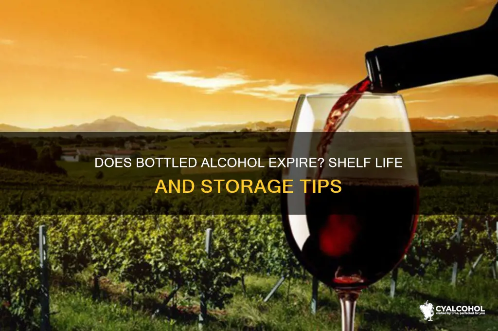Does Bottled Alcohol Expire? Shelf Life And Storage Tips | CyAlcohol