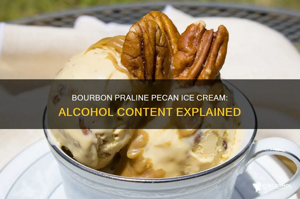 Bourbon Praline Pecan Ice Cream: Alcohol Content Explained | CyAlcohol