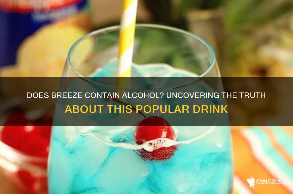 Does Breeze Contain Alcohol? Uncovering The Truth About This Popular ...