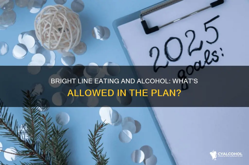 Bright Line Eating And Alcohol: What’S Allowed In The Plan? | CyAlcohol