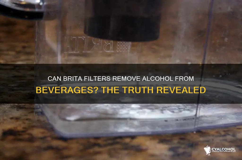 Can Brita Filters Remove Alcohol From Beverages? The Truth Revealed ...