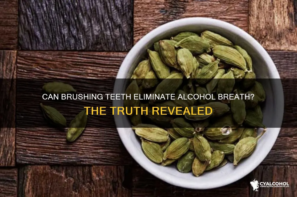 Can Brushing Teeth Eliminate Alcohol Breath? The Truth Revealed | CyAlcohol