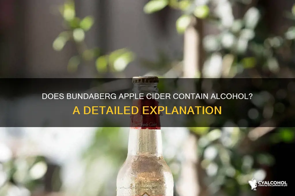 Does Bundaberg Apple Cider Contain Alcohol? A Detailed Explanation ...