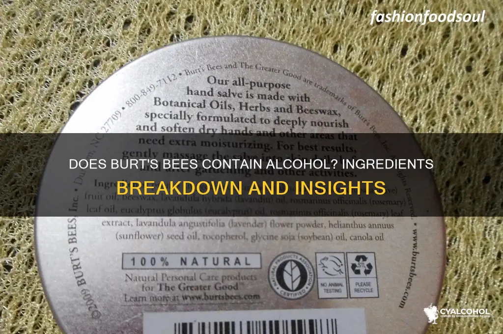 Does Burt's Bees Contain Alcohol? Ingredients Breakdown And Insights ...