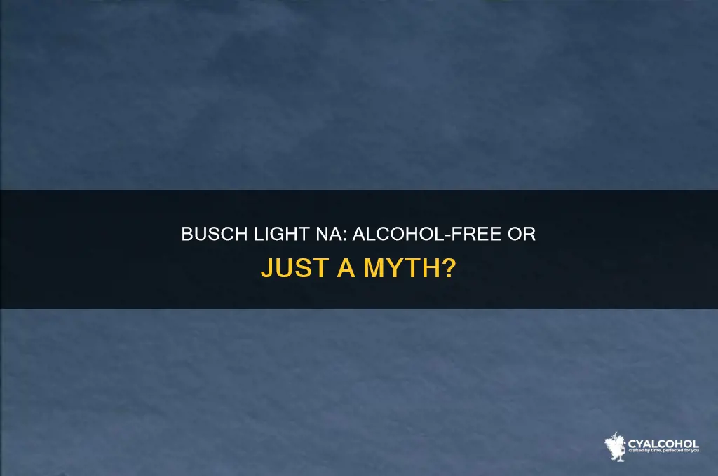 Busch Light Na: Alcohol-Free Or Just A Myth? | CyAlcohol