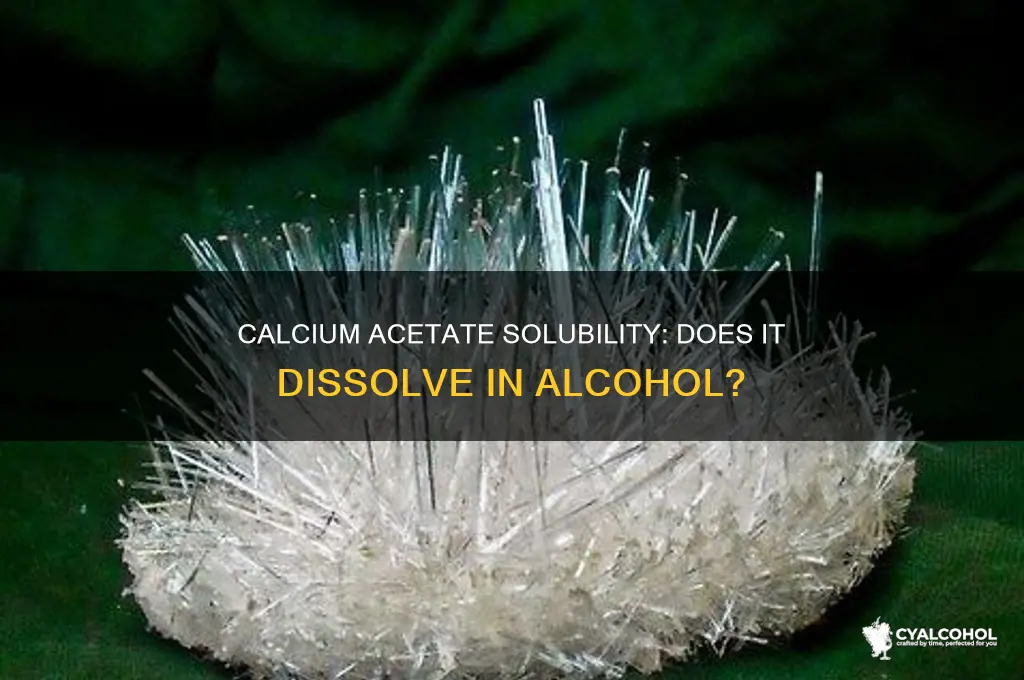 Calcium Acetate Solubility: Does It Dissolve In Alcohol? | CyAlcohol