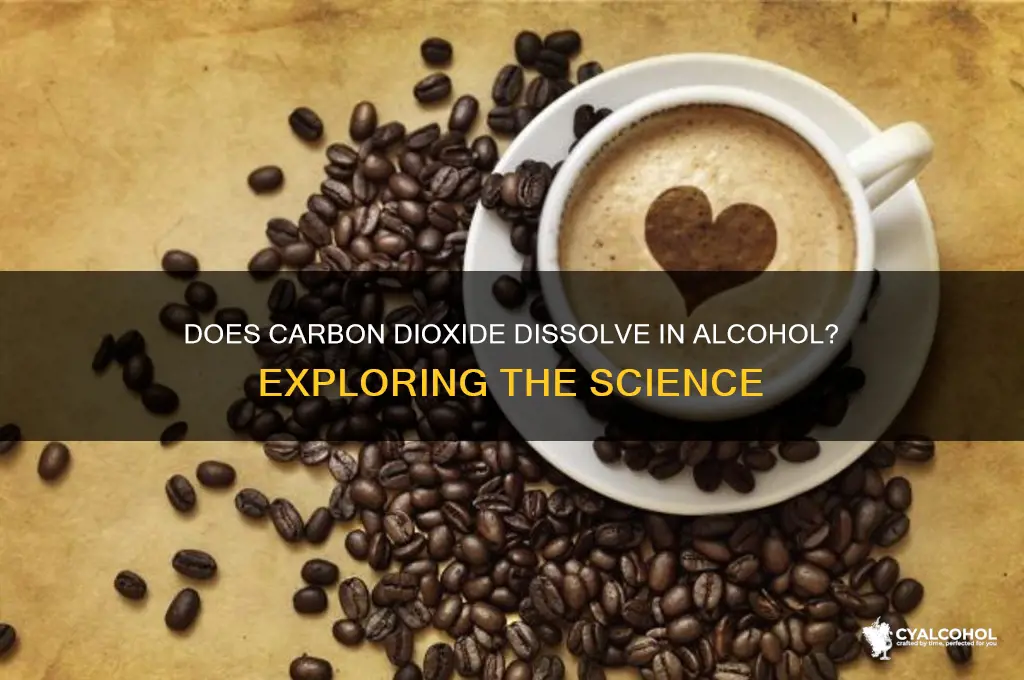 Does Carbon Dioxide Dissolve In Alcohol? Exploring The Science | CyAlcohol