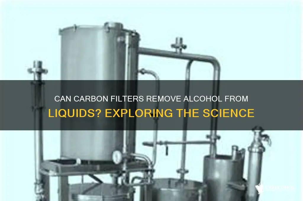 Can Carbon Filters Remove Alcohol From Liquids? Exploring The Science ...