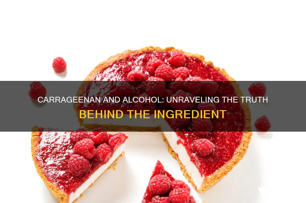 Carrageenan And Alcohol: Unraveling The Truth Behind The Ingredient ...