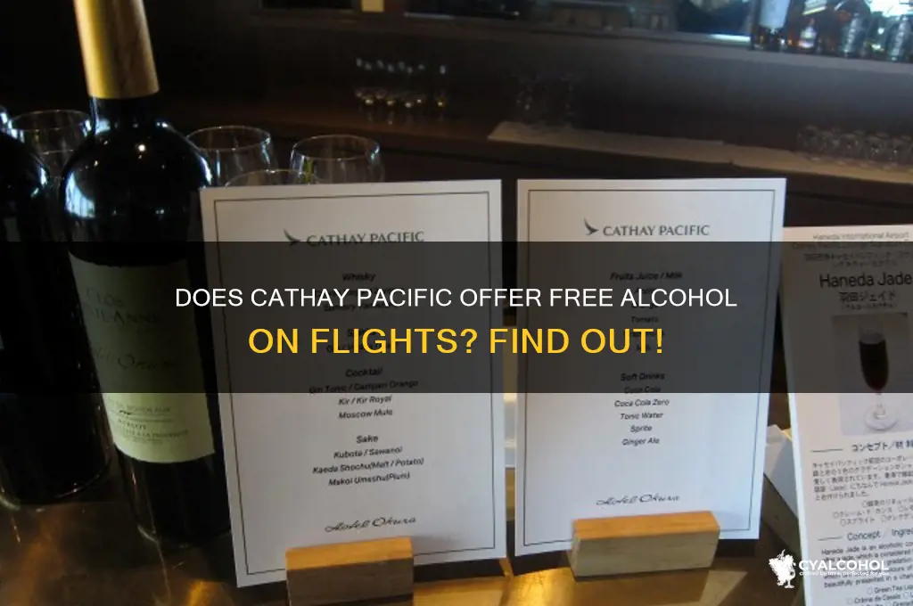 Does Cathay Pacific Offer Free Alcohol On Flights? Find Out! | CyAlcohol