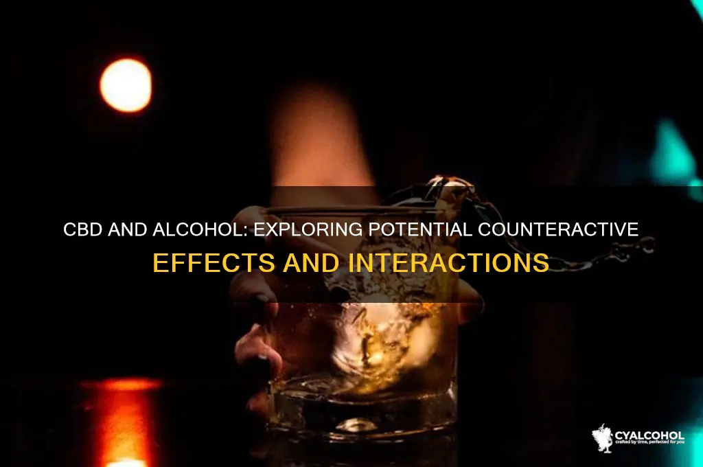 Cbd And Alcohol: Exploring Potential Counteractive Effects And ...