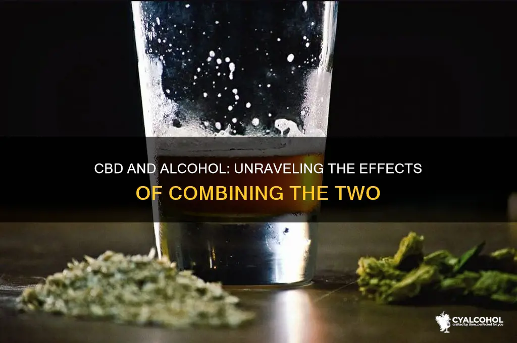 Cbd And Alcohol: Unraveling The Effects Of Combining The Two | CyAlcohol