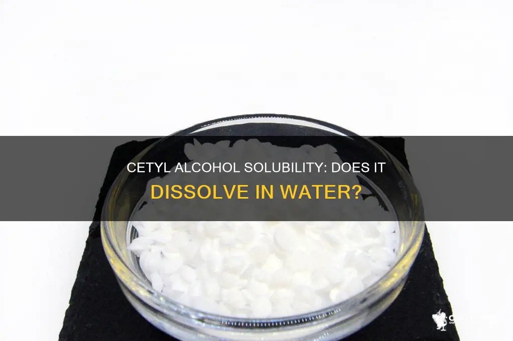Cetyl Alcohol Solubility: Does It Dissolve In Water? | CyAlcohol