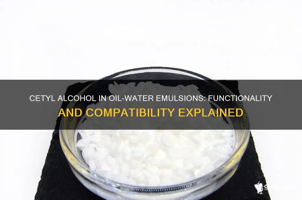 Cetyl Alcohol In Oil-Water Emulsions: Functionality And Compatibility ...