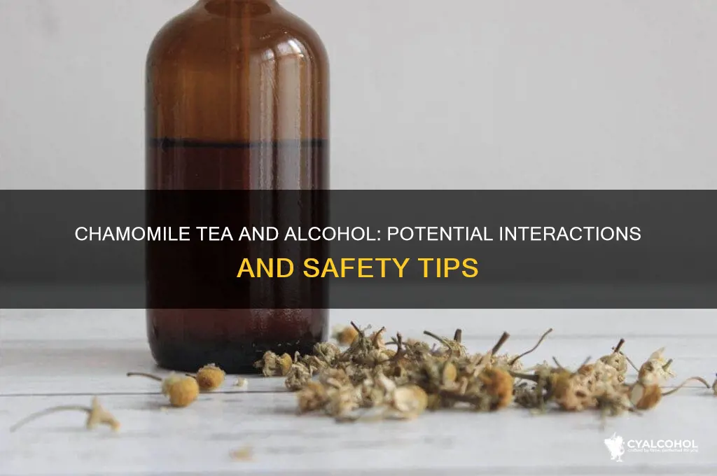 Chamomile Tea And Alcohol: Potential Interactions And Safety Tips ...